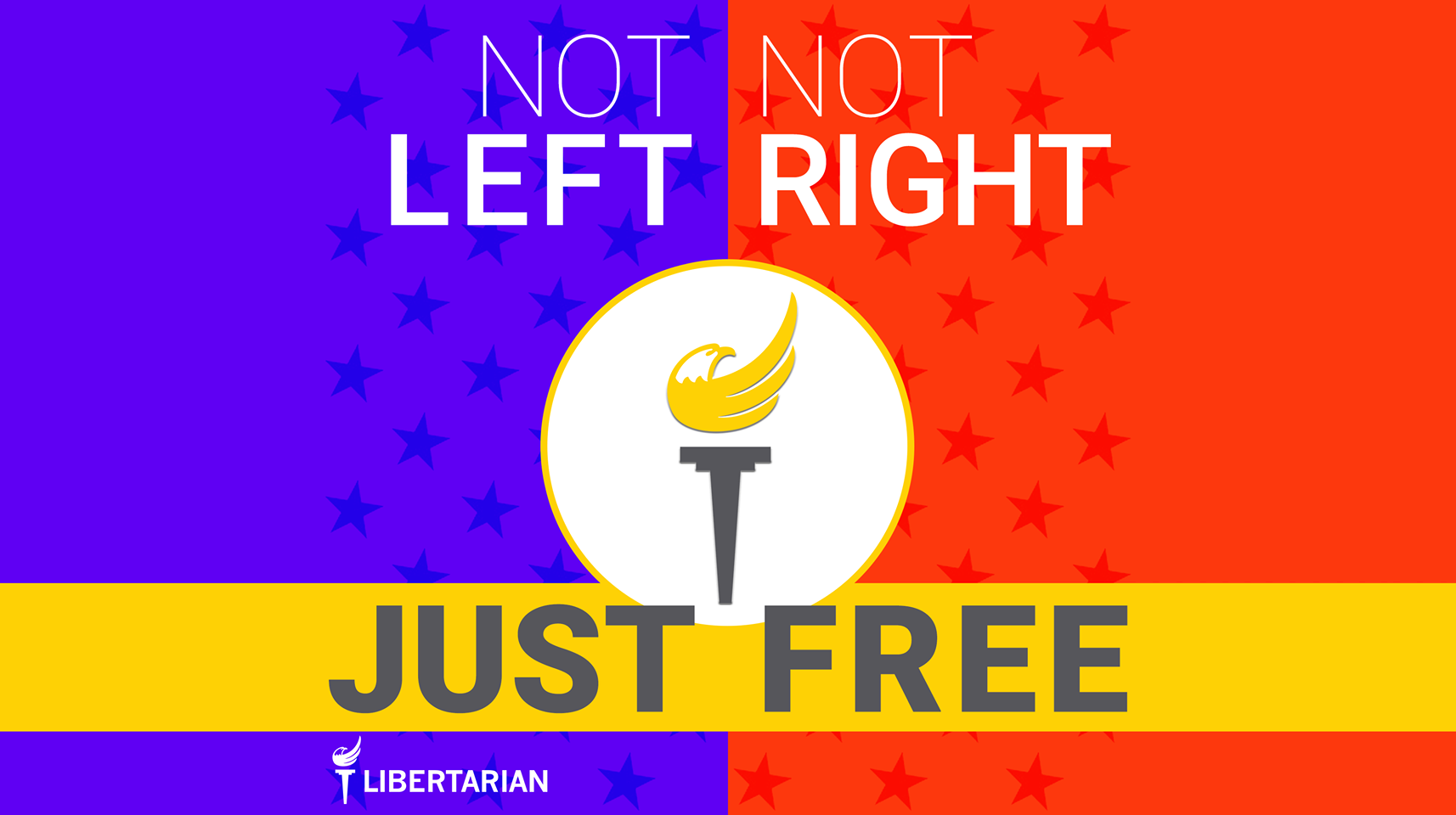 Libertarian Party Issues
